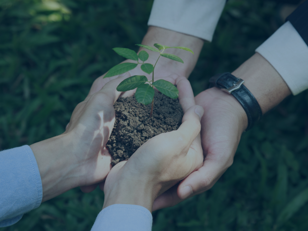 Five Essential Elements of an Environmental Social and Governance (ESG ...
